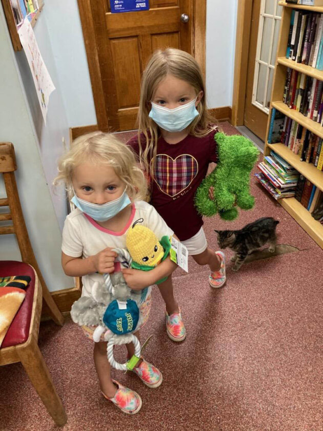 Citrus cups for cats and pups | News, Sports, Jobs - Adirondack Daily ...